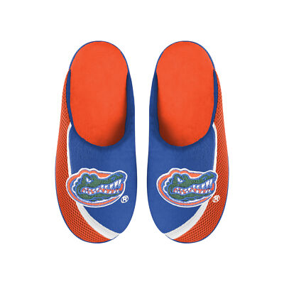FOCO NCAA Men's Florida Gators 2022 Big Logo Color Edge Slippers | eBay