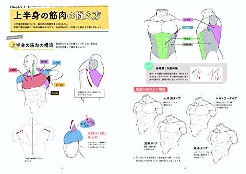 BL drawing basics and techniques: How to draw muscles -Japanese Craft ...