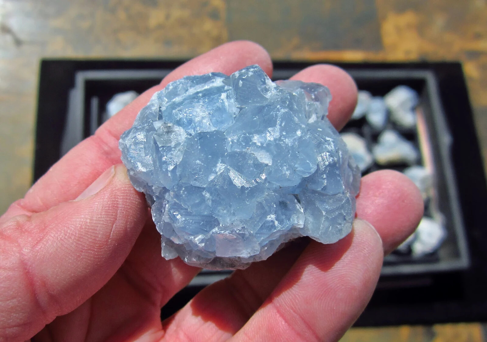 BLUE CELESTINE Celestite Crystal * 1-2" Size Madagascar Strontium ...