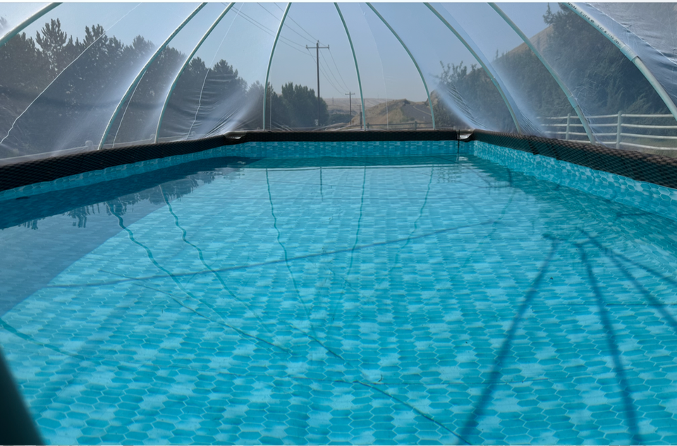FLEXNET DOME Pool Dome for 12’ W x 22’ to 24’ L Rectangular/Oval Pools ...