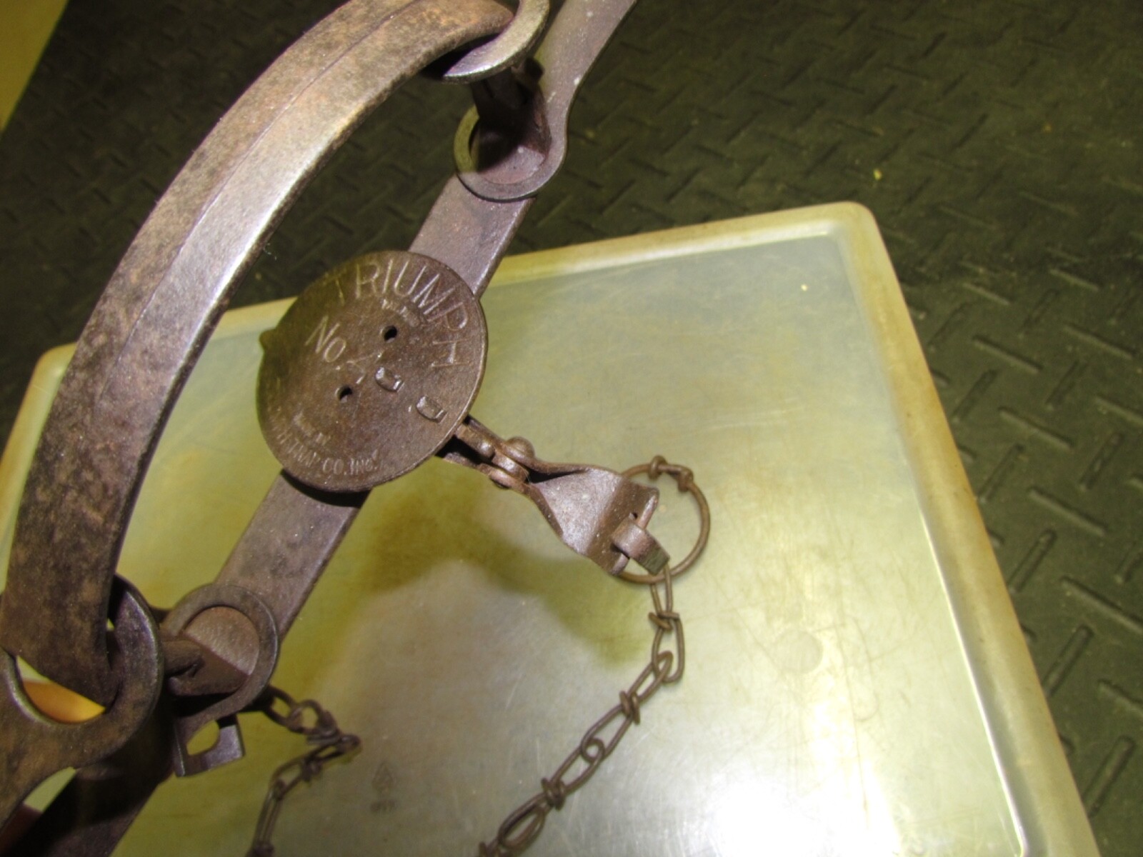 Vintage Triumph No 4 Double Long Spring 2 HOLE Trap NEWHOUSE SARGENT | eBay