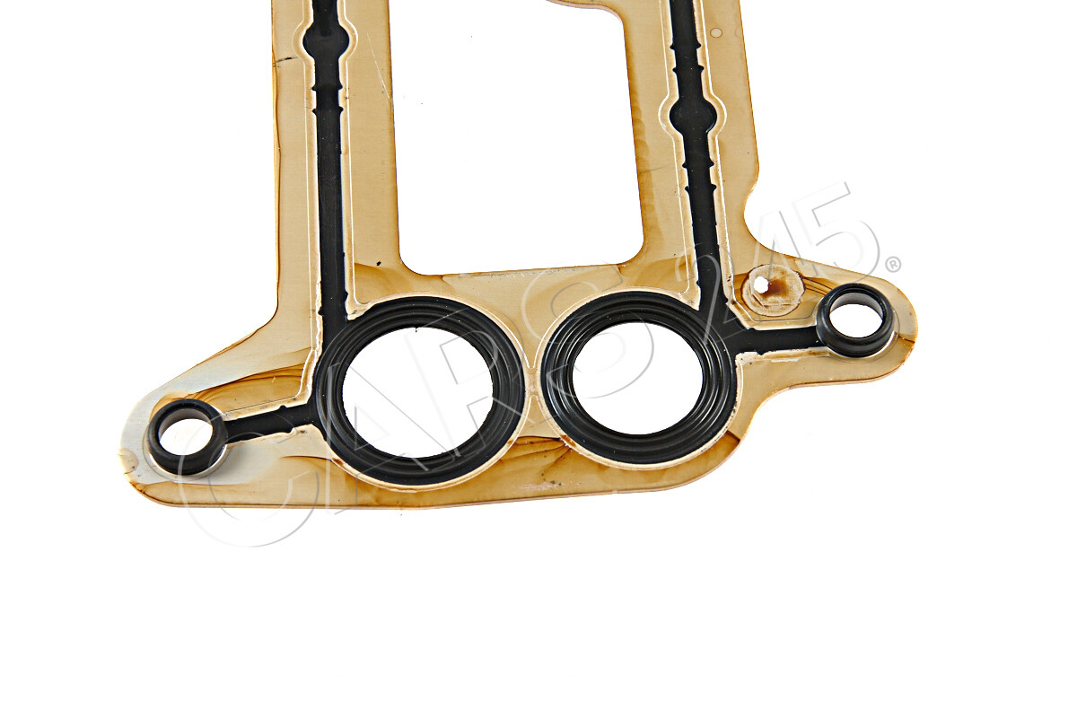 Genuine BMW Gasket X1 X3 E60 E61 E81 E82 E83 E84 E87 E88 E90 ...