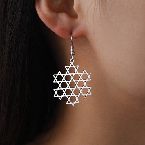 NewStar of David Hexagram Earring Stainless Steel Jewish Drop Earrings ...