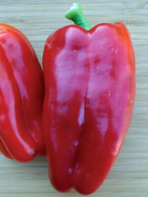 BIG DADDY RED SWEET PEPPER SEED NON-GMO SUPER COLOR sweet pepper flavor ...