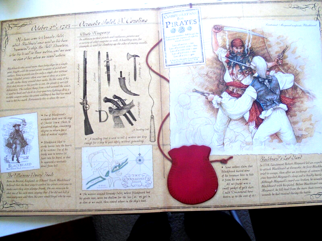 Ologies Ser.: Pirateology : The Pirate Hunter's Companion by William ...