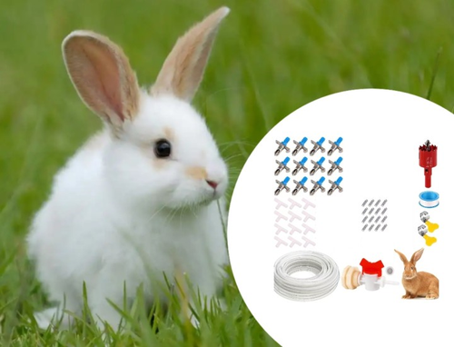 Drinking Fountain for For rabbits with Innovative Dual Spring Hydration ...