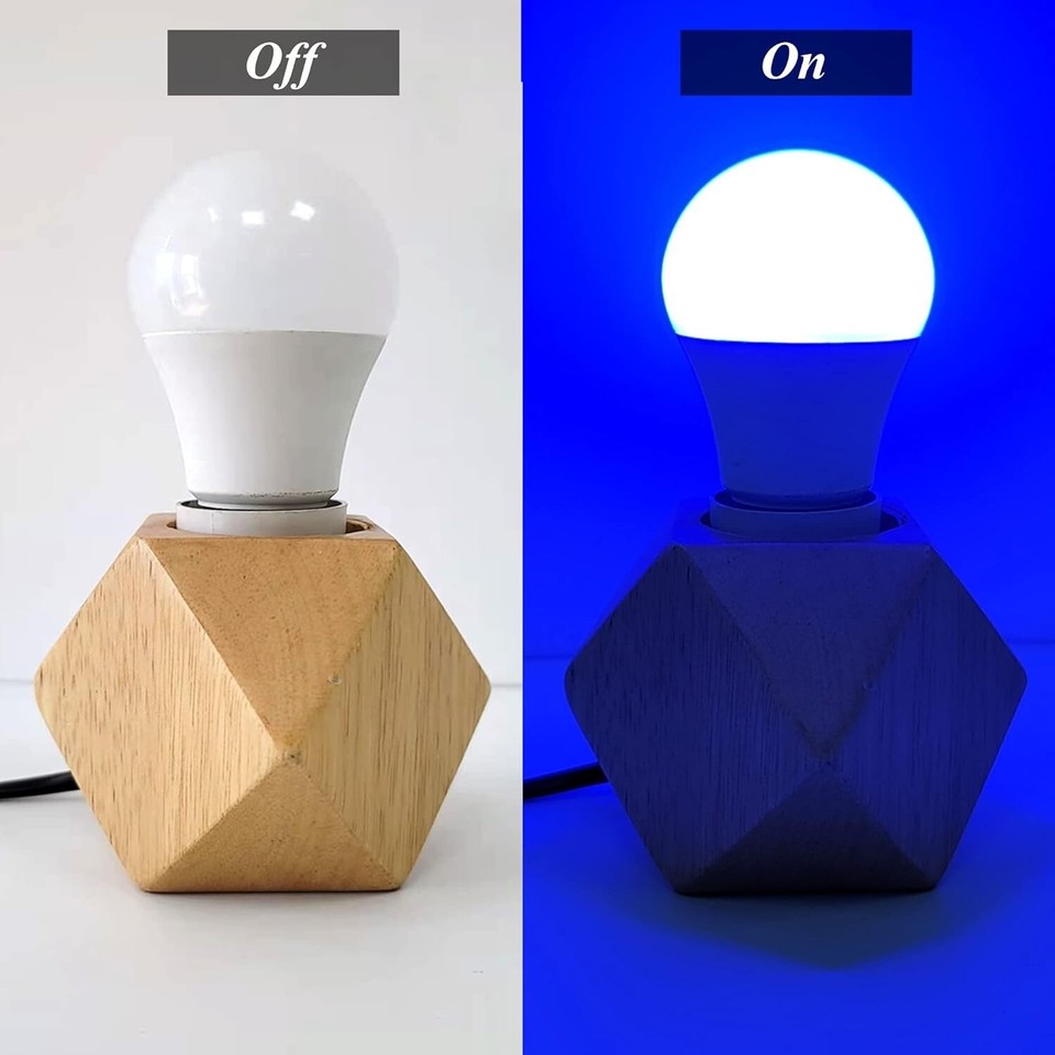 Blue Light Colored A19 LED Light Bulb 60W Equivalent (7W) E26 Base ...