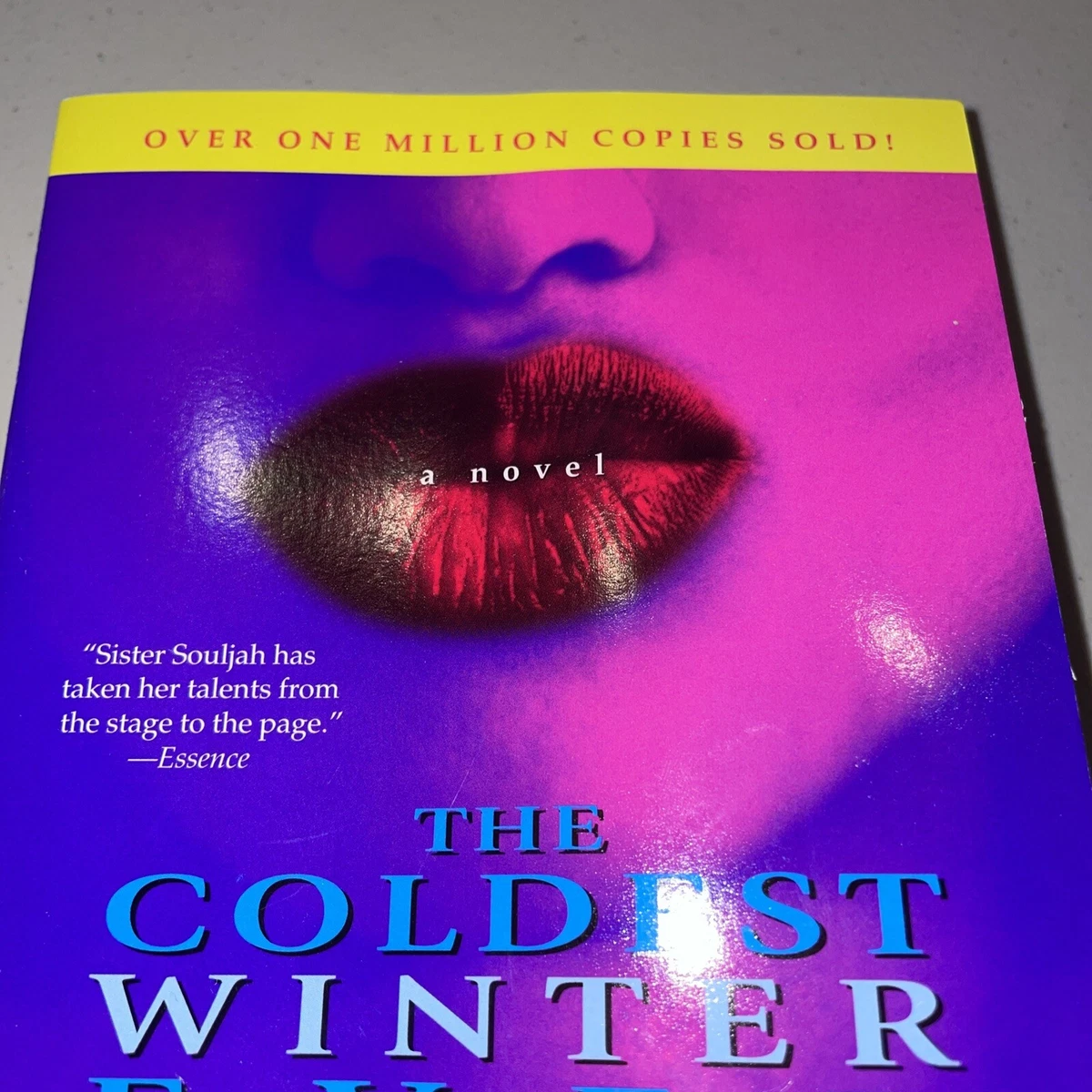 Coldest Winter Ever Book