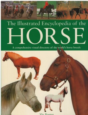 The Illustrated Enclyclopedia of the HORSE by Viv Foster | eBay
