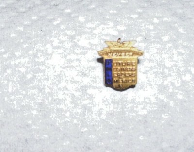 FBLA Pin Future Business Leaders of America 10 kt Gold | eBay