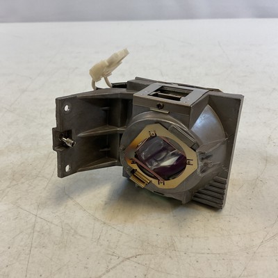 Ctbaier RLC-117 Gray 4K Replacement Projector Lamp Bulb With Housing | eBay