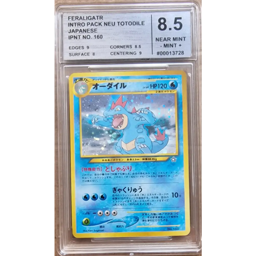 Carte gradé 8.5 - Aligatueur (IPNT) Intro Pack Neo Kaiminus - JAP | eBay