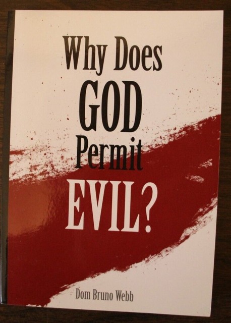 Why Does God Permit Evil? by Bruno Webb (2006, Perfect) for sale online ...