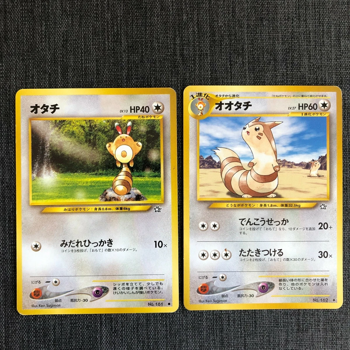 Sentret Evolution
