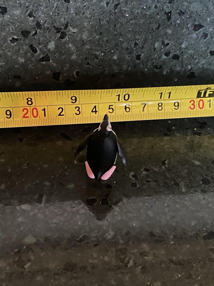 Chinstrap Penguin Ramp Walker | eBay