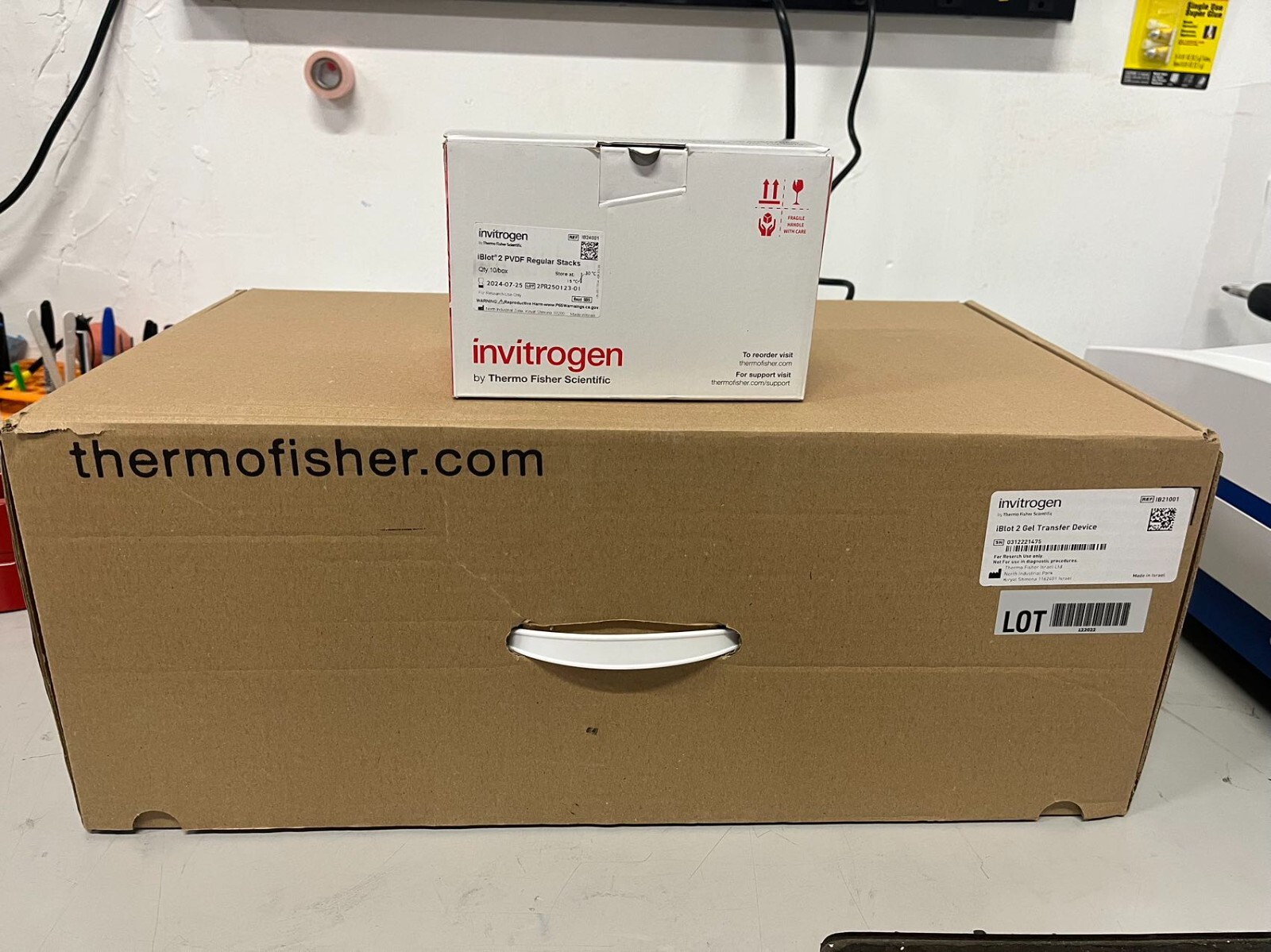 New Invitrogen iBlot 2 Gel Transfer Device IB21001 and iBlot 2 PVDF ...