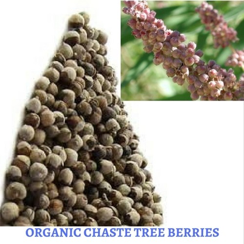 DRIED ORGANIC 100 GRAM - CHASTE TREE BERRY - Herb Tea - Vitex agnus ...