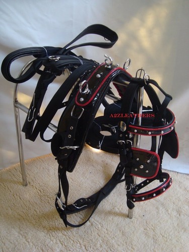Nylon Driving Harness Patent Black Premium Synthetic Full Cob Pony Mini ...