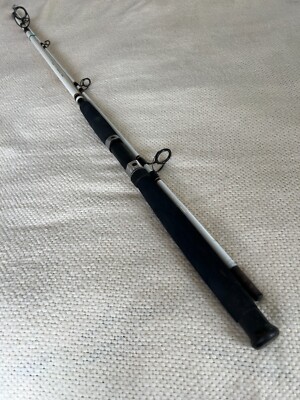 Berkley Big Game Power Series Heavy Spinning Rod | eBay