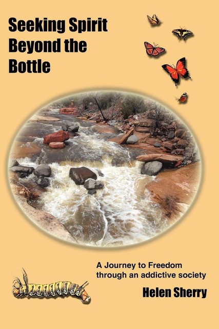 Seeking Spirit Beyond the Bottle von Helen Sherry (2004, Taschenbuch ...