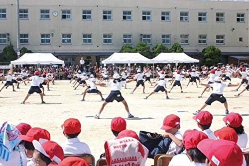 Bushnell Extra Wide WS Binoculars 4 x NEW | eBay