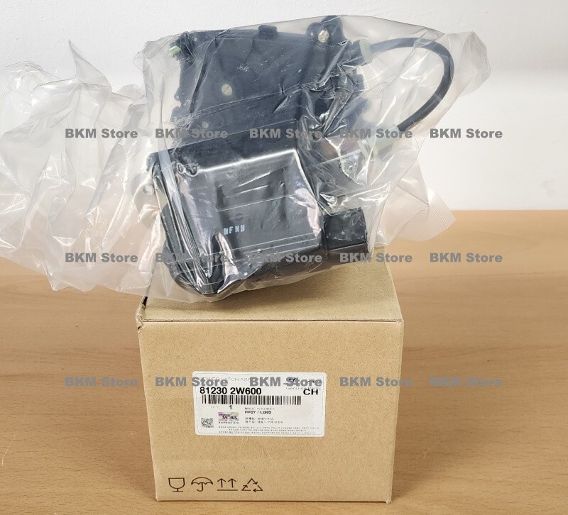 Genuine 812302W600 Rear Tail Gate Power Latch Assy for Santa Fe Sport ...