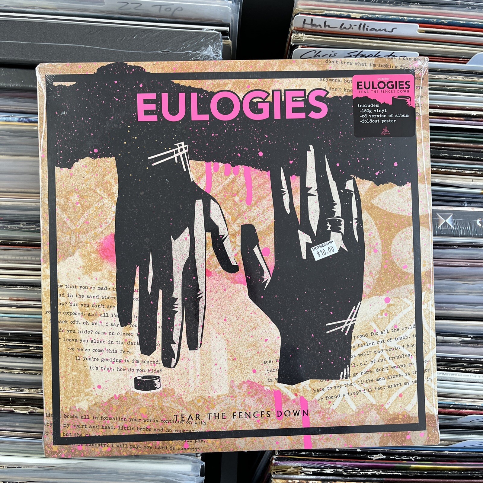 Tear the Fences Down by Eulogies (Record, 2011) for sale online | eBay