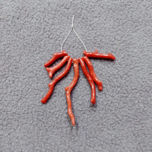 Natural Italian Coral Branch Sea Red Coral Polished Rough Coral Loose ...