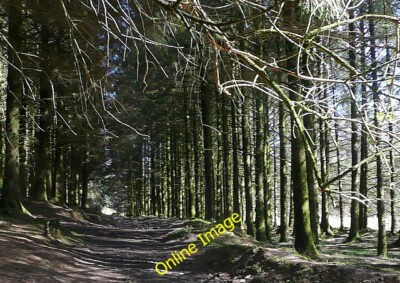 Photo 6x4 Woodland above the Barle Simonsbath The bridleway route of ...
