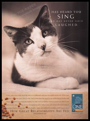 Purina Cat Food 2000s Print Advertisement Ad 2000 Gray & White Kitty | eBay