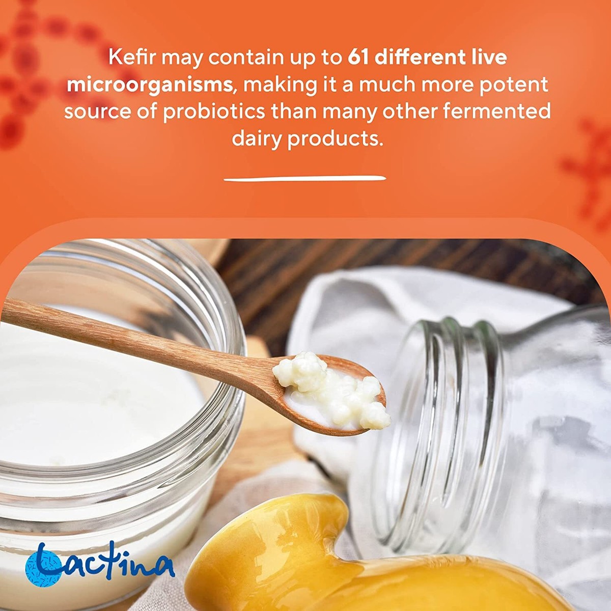 Kefir Starter Kosher