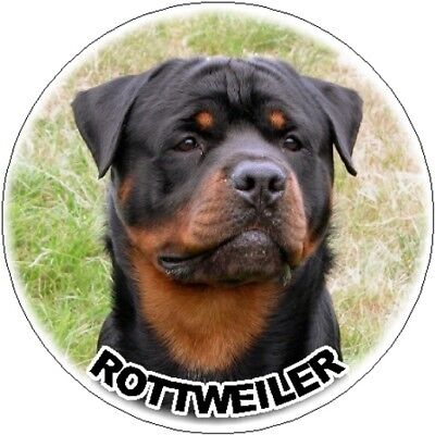 2 Rottweiler Car Stickers Designed By Starprint | eBay