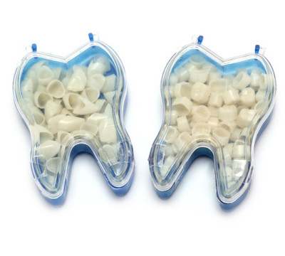 Dental Supplies - Porcelain Teeth