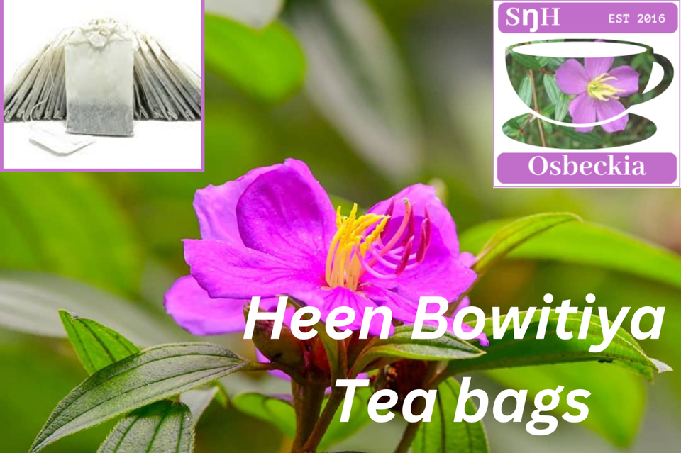 Heen Bovitiya Organic Dried Osbeckia octandra Ayurvedic Herbal Leaves ...
