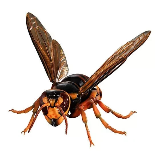 The Diversity of Life on Earth Advance Wasp Hornet 02 Figure Bandai ...