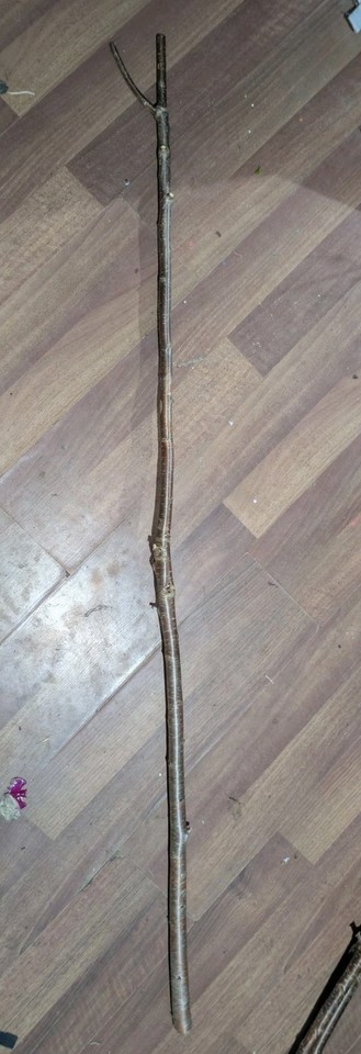 Cherry Walking Stick Blank – DIY Thumb Stick / Shooting Stick / Hiking ...