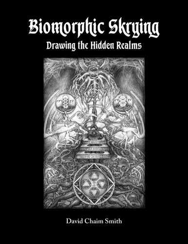 Biomorphic Skrying: Drawing the Hidden Realms by David Chaim Smith ...
