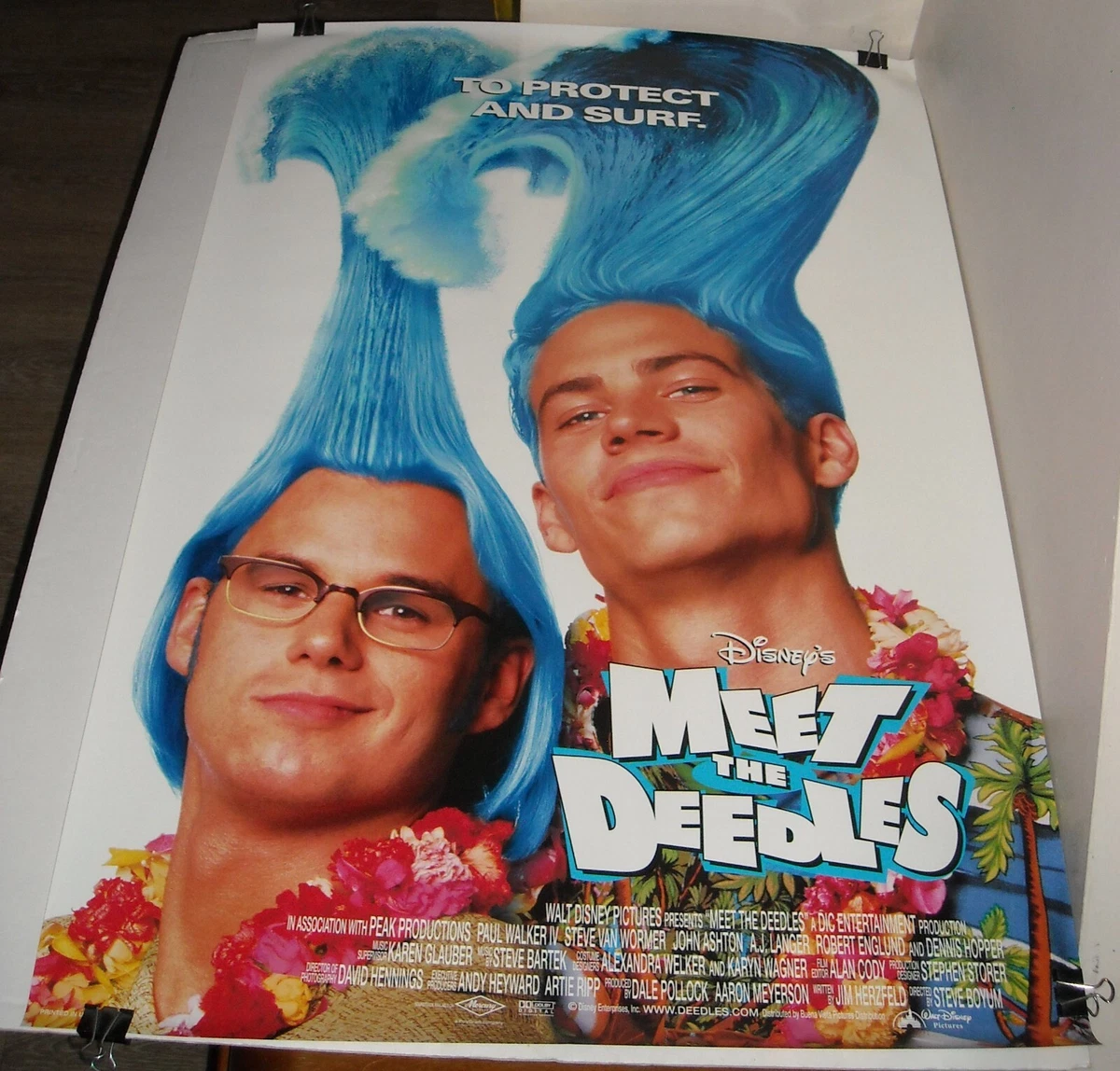Meet The Deedles Poster