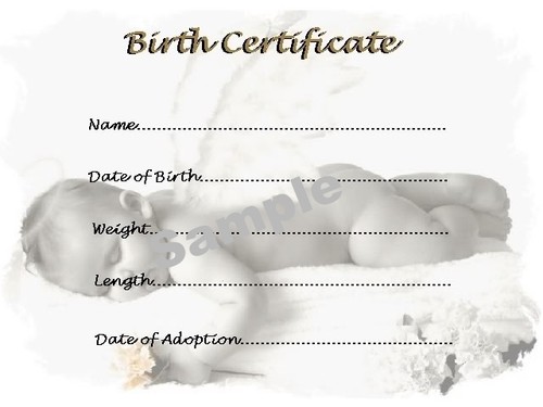 GORGEOUS BIRTH CERTIFICATE/CERTIFICATES 4 REBORN FAKE BABY approx 7"x 5 ...