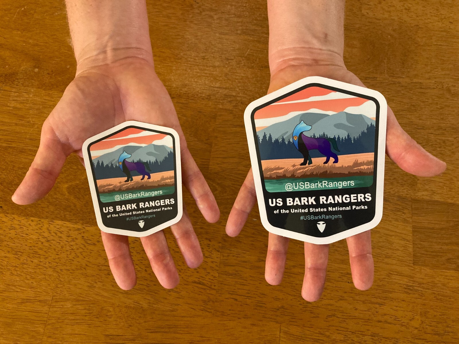 US Bark Rangers of the US National Parks Dog Sticker/Magnet/Patch ...