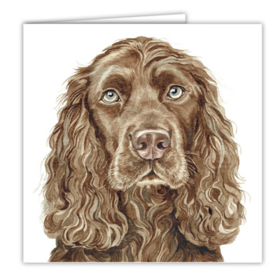 Chocolate Cocker Spaniel greetings card dog blank card English Cockers ...