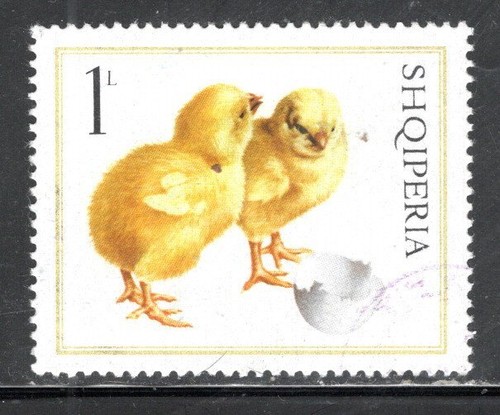 ALBANIA SHQIPERIA EUROPE STAMPS USED LOT 608BU | eBay