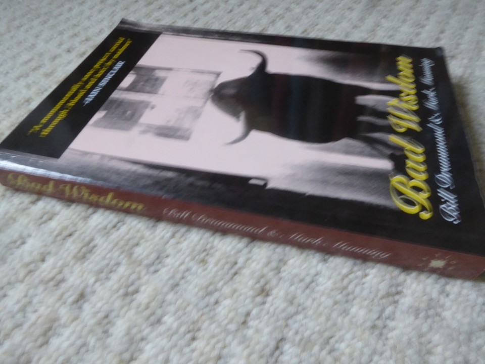 Bad Wisdom by Mark Manning & Bill Drummond Zodiac Mondwarp | eBay UK