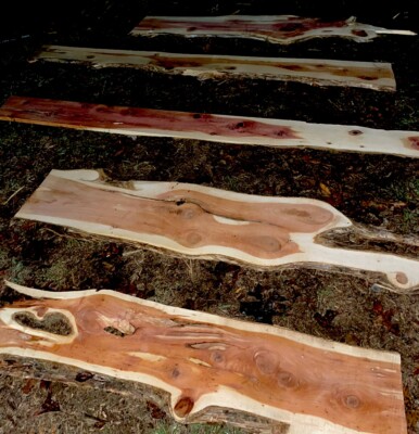 Aromatic Eastern Red Cedar Live Edge Log Slab Craft Wood Taxidermy ...