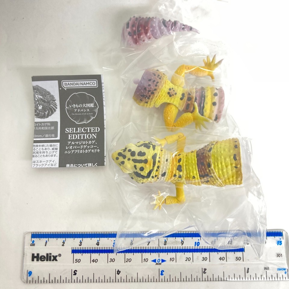 Bandai Gashapon Leopard Gecko Action Figure ADVANCE High Yellow 18cm ...
