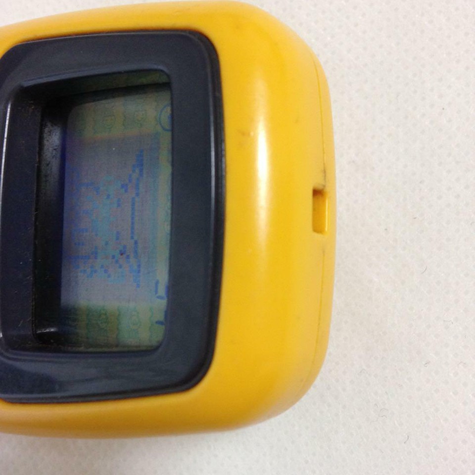 Nintendo Pocket Pikachu pocket pikachu pedometer from jAPAN | eBay