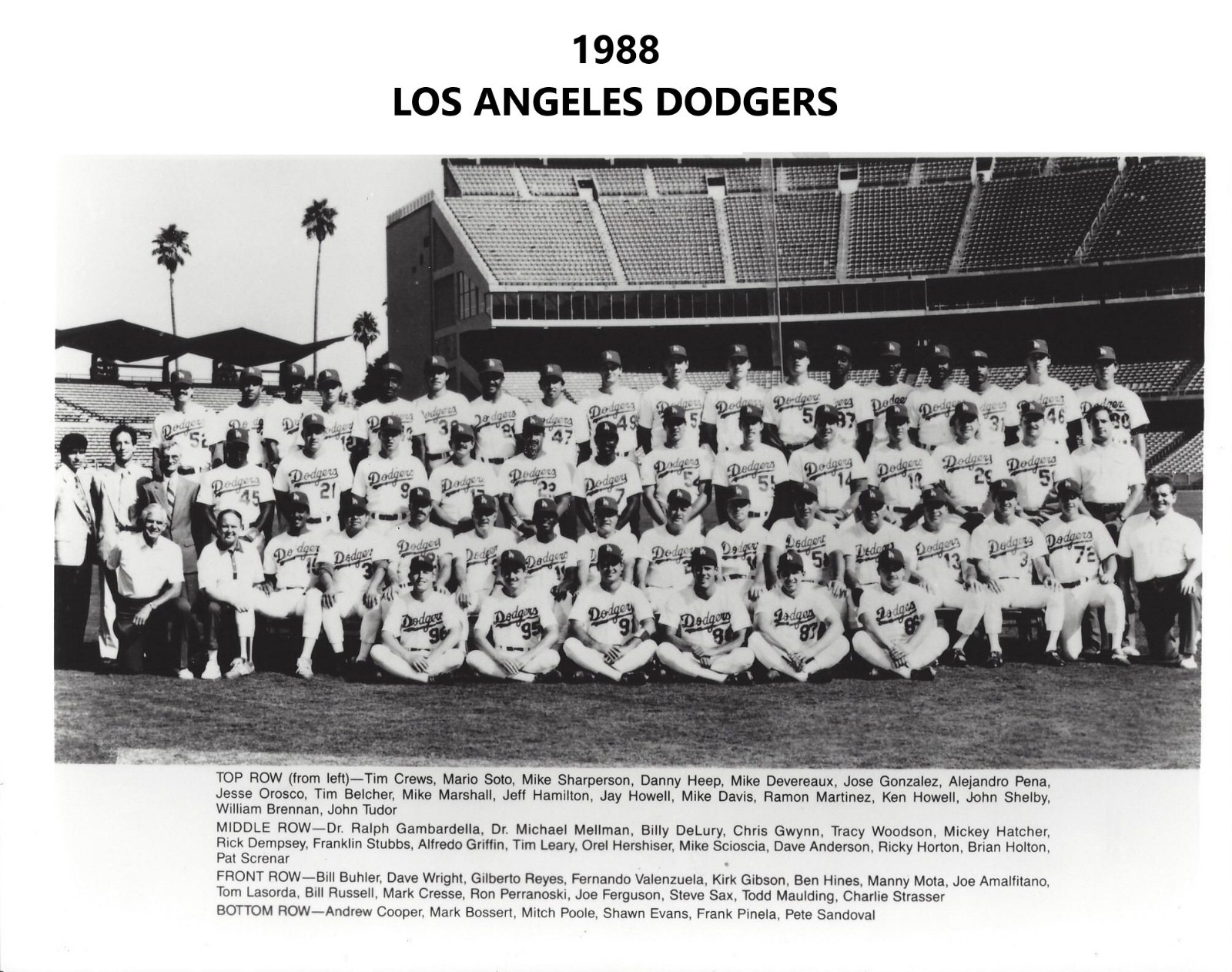 1988 LOS ANGELES DODGERS 8X10 TEAM PHOTO BASEBALL PICTURE LA MLB | eBay