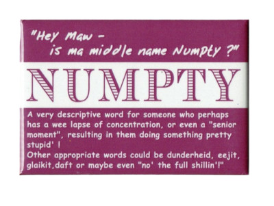 Quirky Scottish Doric Dialect Phrase Fridge Magnet - Numpty | eBay UK