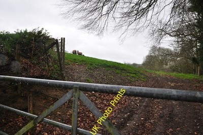 Photo A2 Mid Devon : Gate & Field Clayhanger/ST0222 A gate providing en ...