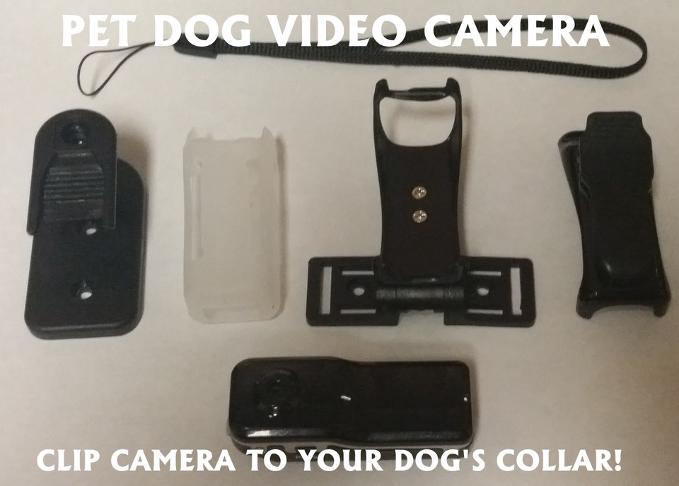 Wireless Pet Dog Video Camera Recorder Cam Video Color Audio Sound ...